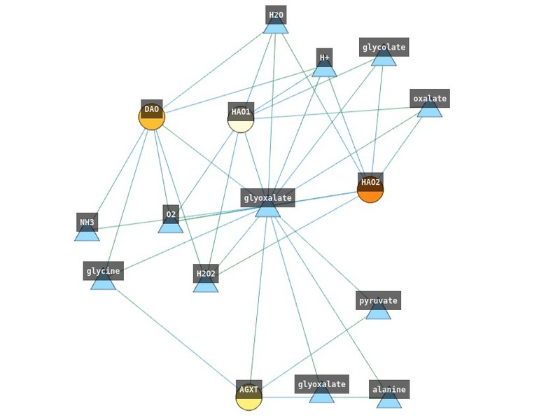 Interaction Partners